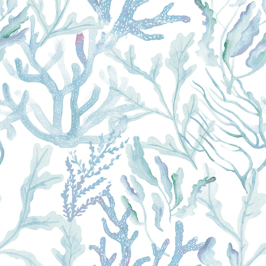 Beautiful Coral Reef Peel and Stick Wallpaper | Tempaper & Co.