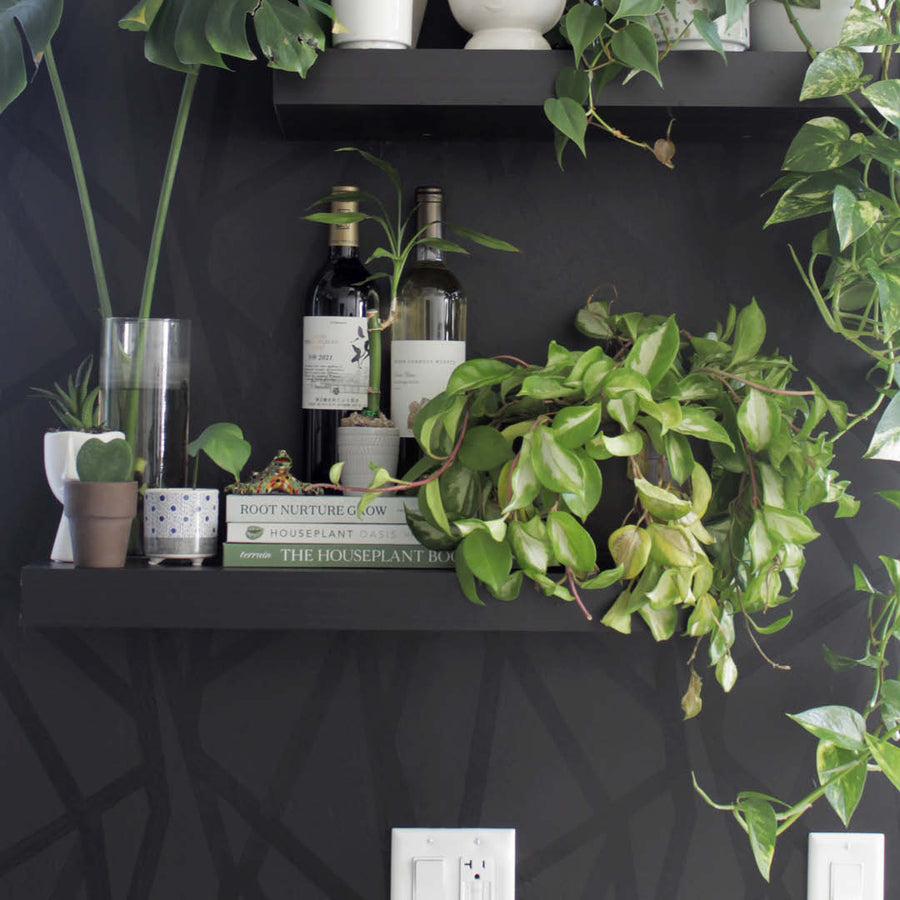 Elevate Your Space with Genevieve Gorder Intersections Wallpaper ...